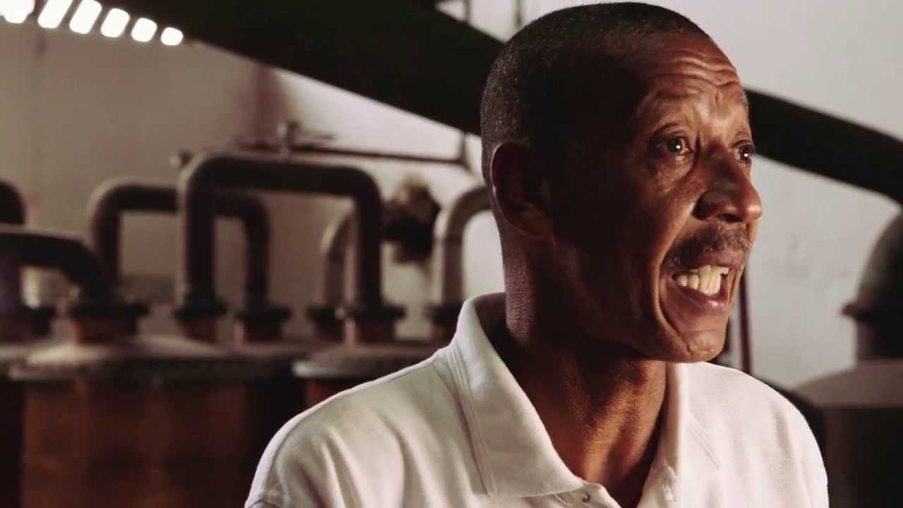 How Authentic Caribbean Rum Is Made – onlydrunk